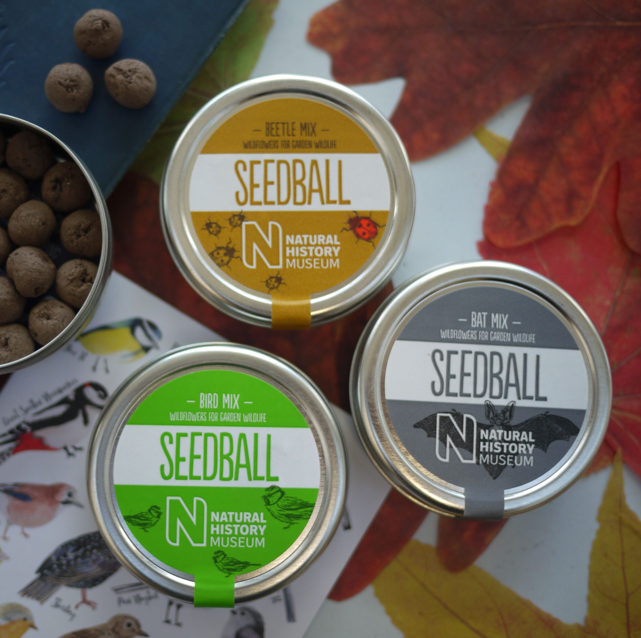 Seedball - a simpler way to grow from seed. | Ruralmums